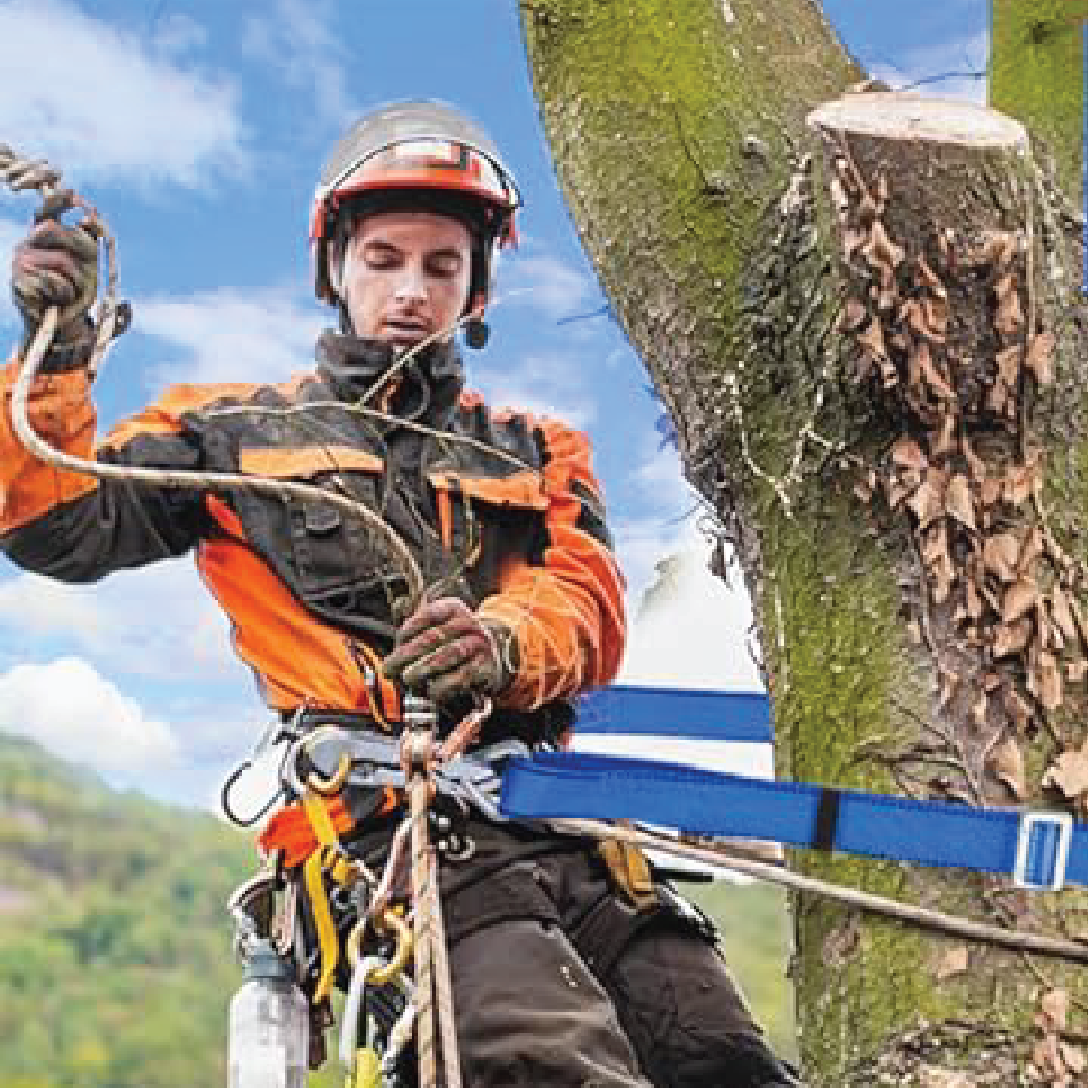 Career Pathways - YA Wisconsin